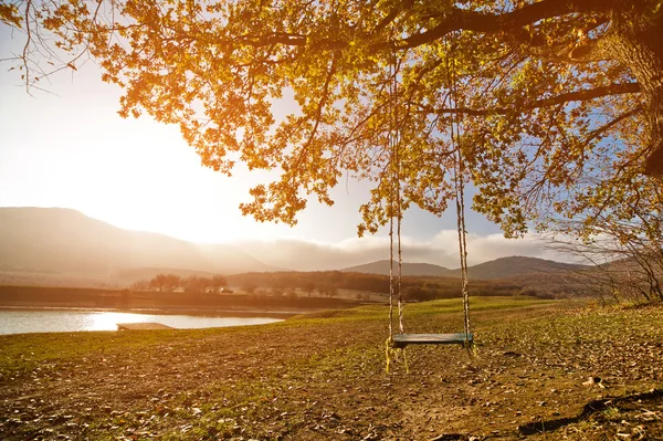 Swing tree silhouette Stock Photos, Royalty Free Swing tree silhouette ...