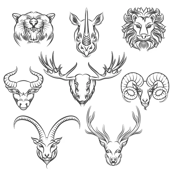 Wild animals hand drawn heads Stock Vector Image by ©vectortatu #103737526