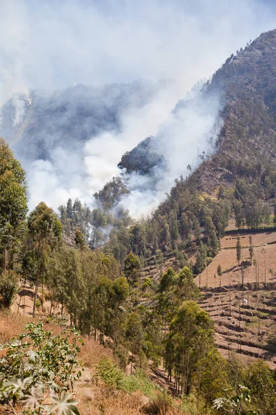 fire in mountain forest. aerial view forest fire and smoke on slopes ...