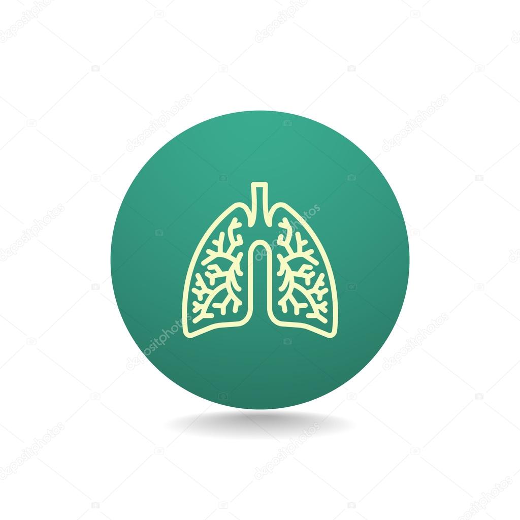 icono de pulmones humanos 2024