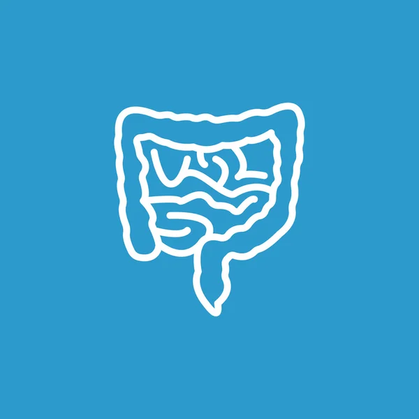 Jejunum Stock Vectors, Royalty Free Jejunum Illustrations | Depositphotos®