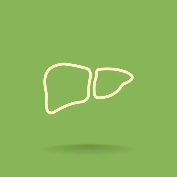 Levercirrhose Vector Art Stock Images | Depositphotos