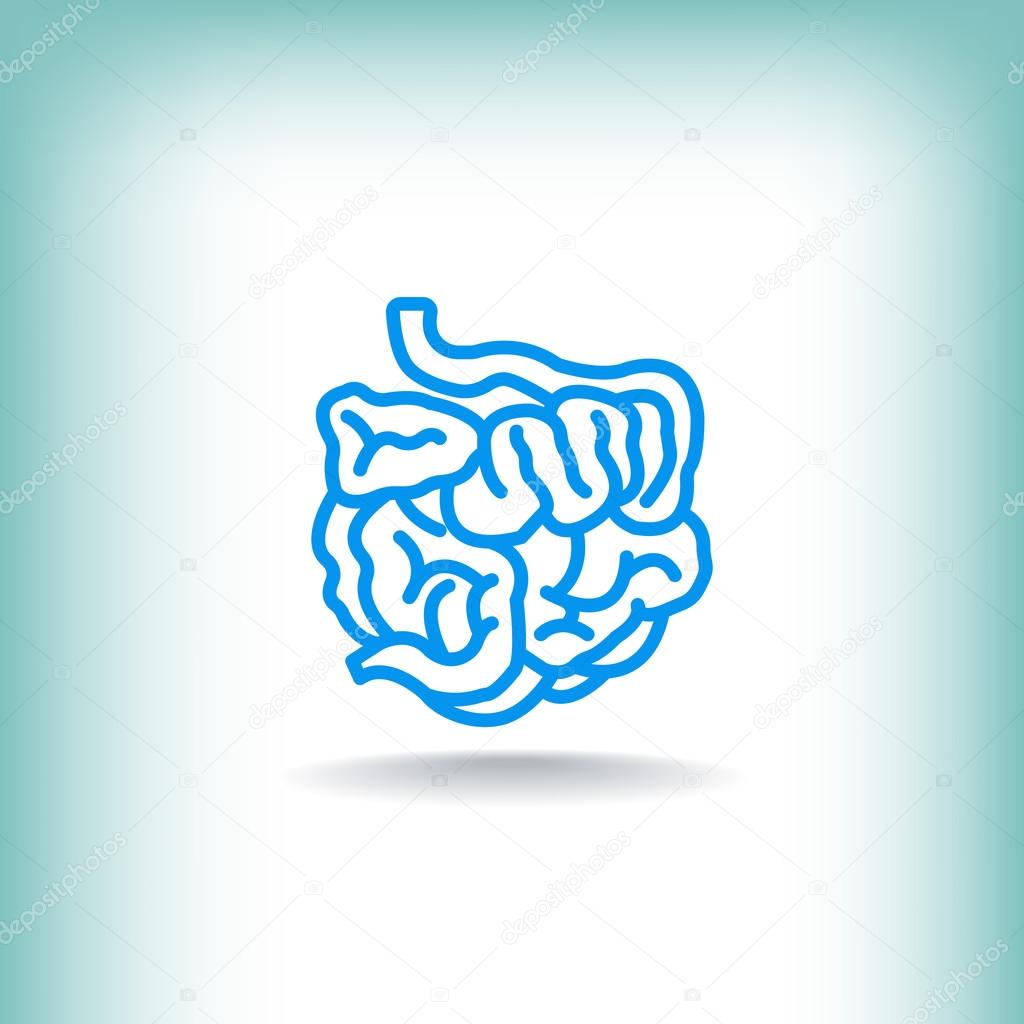 Human small intestines icon Stock Vector Image by ©Mr.Webicon #111997132