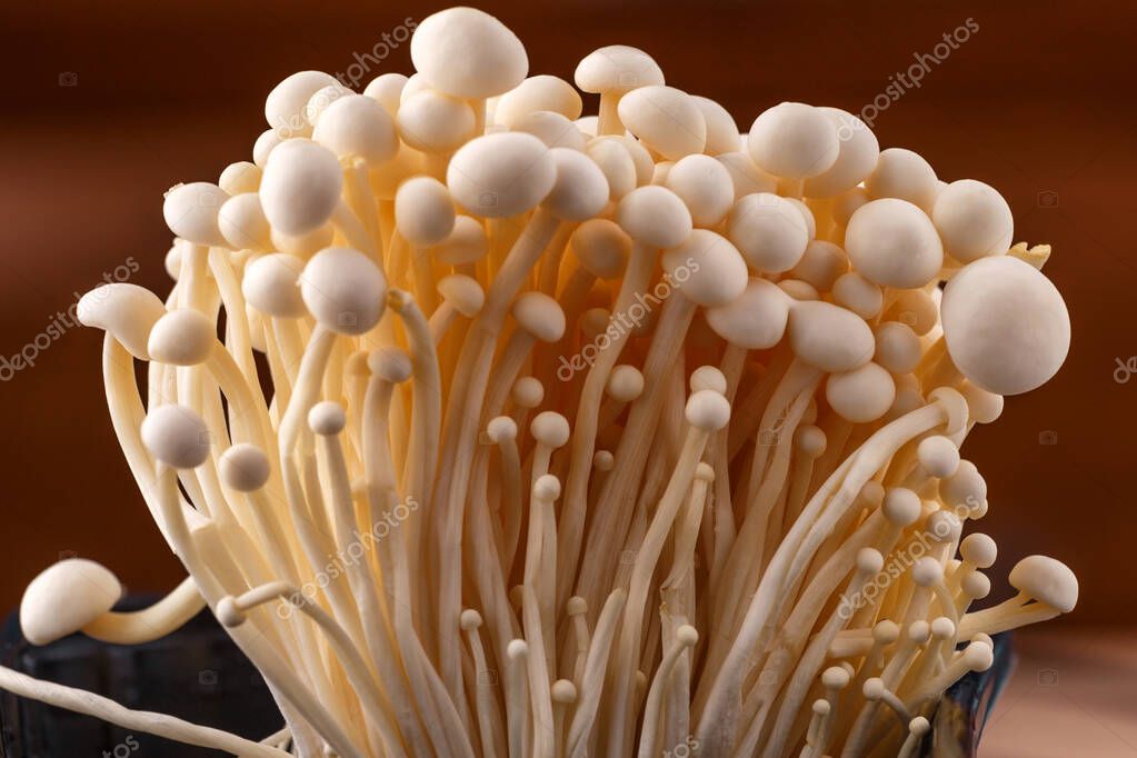 Hongos Enoki, grupo de hongos aguja dorada de aguja dorada.Enoki ...