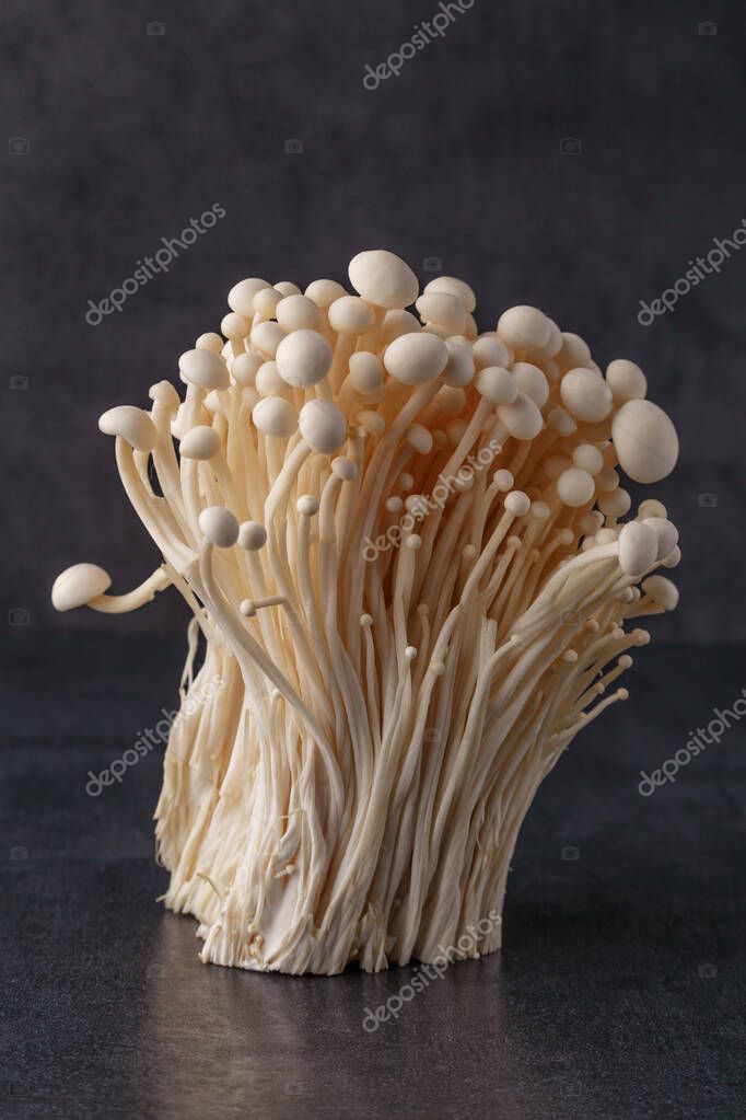 Hongos Enoki frescos sobre fondo negro con enfoque seleccionado.Enoki ...