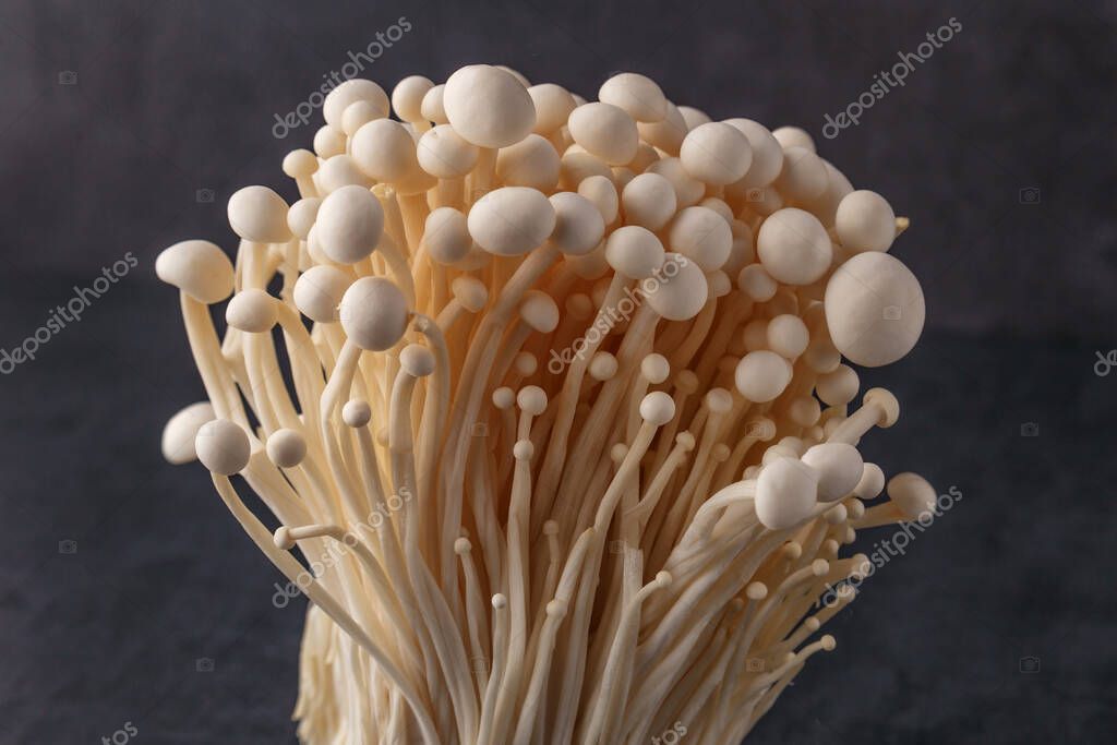 Hongos Enoki frescos sobre fondo negro con enfoque seleccionado.Enoki ...