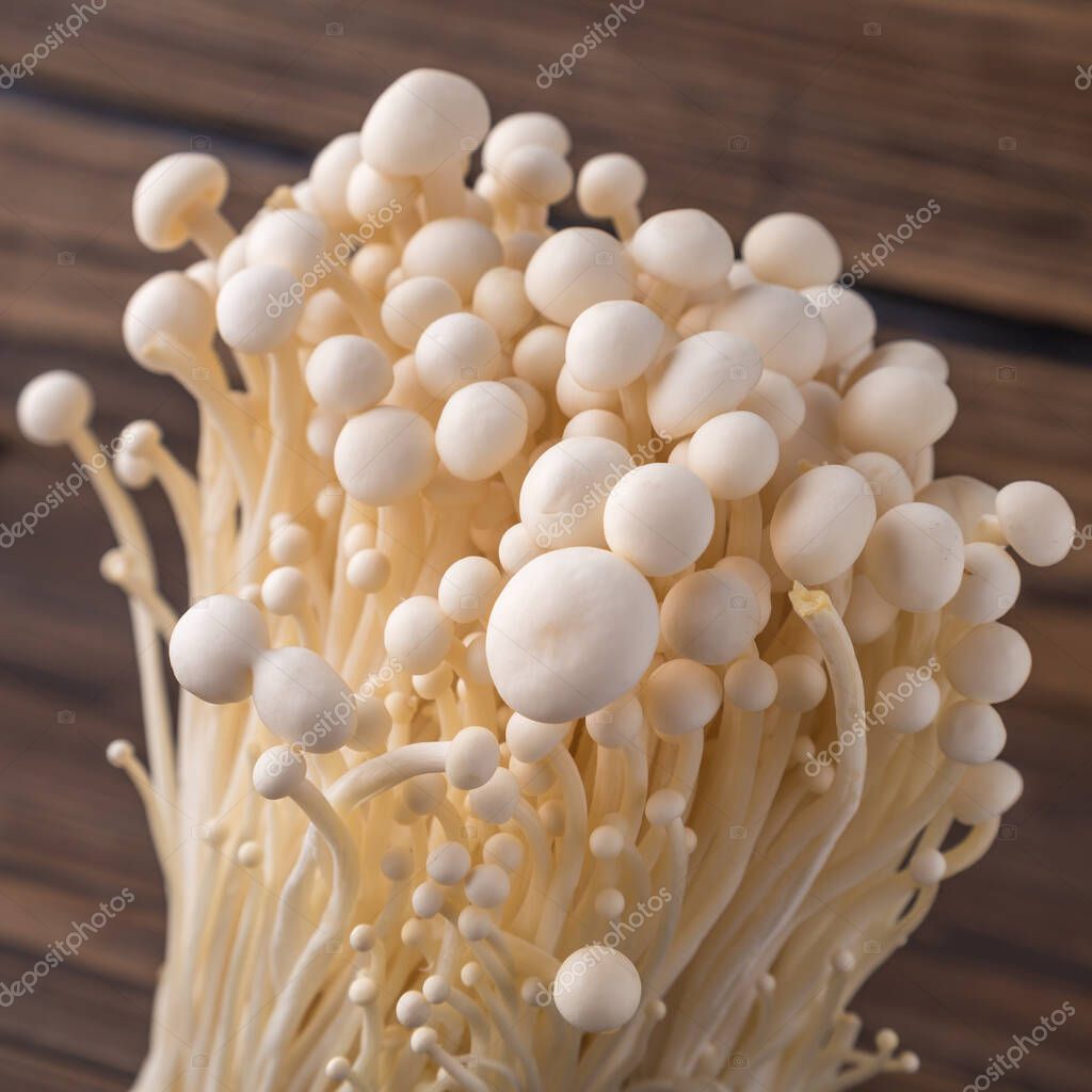 Hongos Enoki frescos con foco seleccionado.Enoki, también conocido como caña de terciopelo, es ...