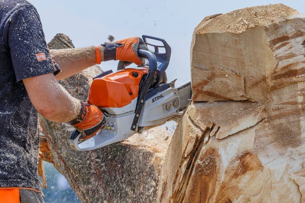 Stihl Stock Photos, Royalty Free Stihl Images | Depositphotos