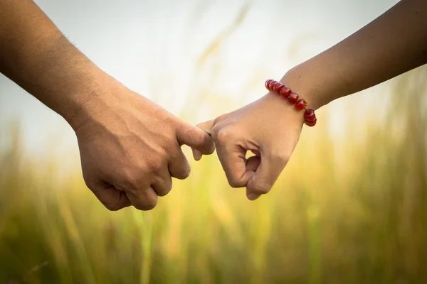 Two hands lovers hand Stock Photos, Royalty Free Two hands lovers hand ...