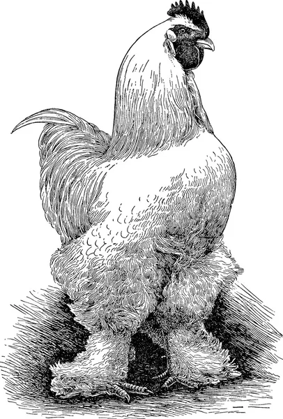 Kokárda Stock fotók, Kokárda Jogdíjmentes képek | Depositphotos