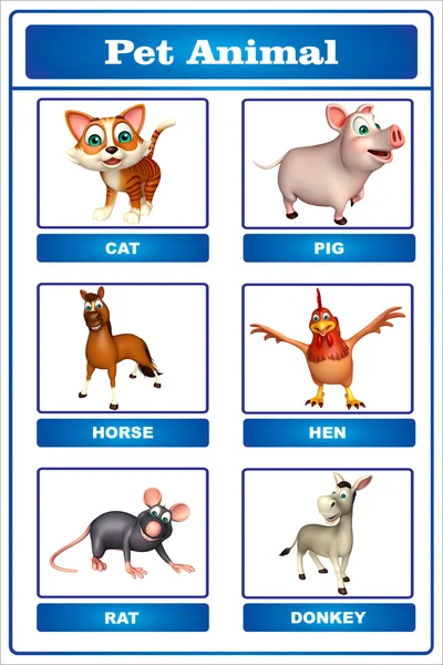 Pet animal chart Stock Photos, Royalty Free Pet animal chart Images ...