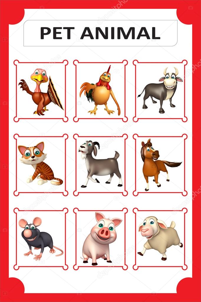 Pet animal chart Stock Illustration by ©visible3dscience #102405336