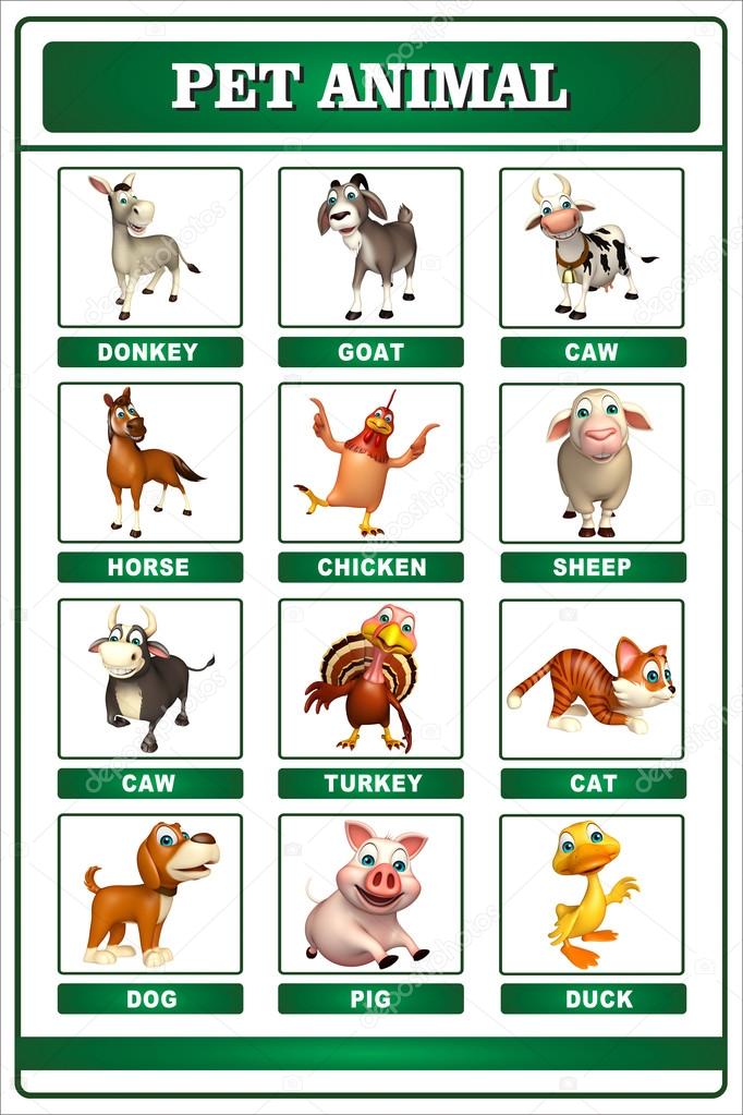 Pet animal chart Stock Illustration by ©visible3dscience #102405652