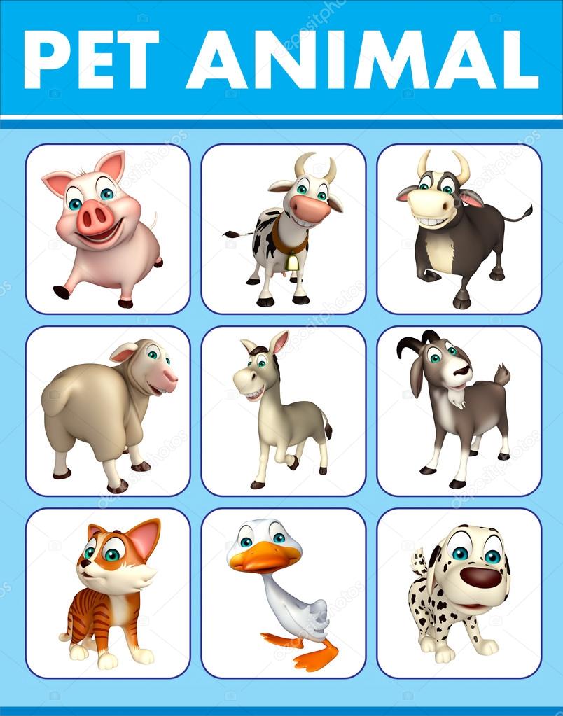 Pet animal chart Stock Illustration by ©visible3dscience #102405706