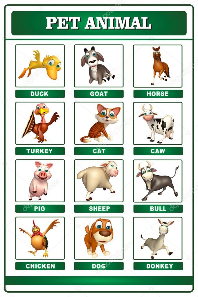 Pet animal chart Stock Illustration by ©visible3dscience #102405722