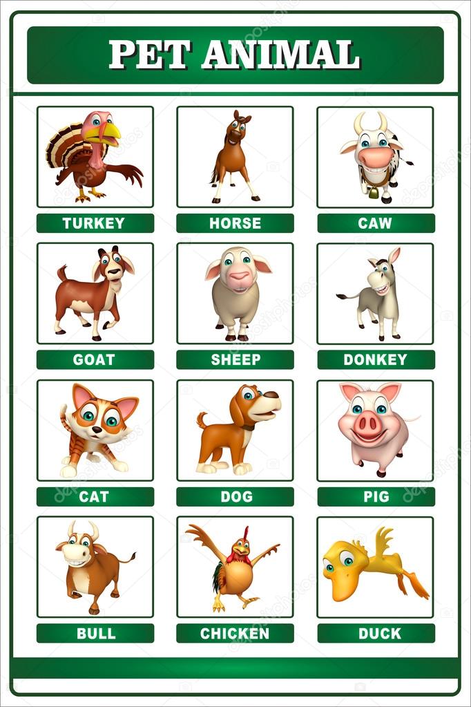 Pet animal chart Stock Illustration by ©visible3dscience #102405742