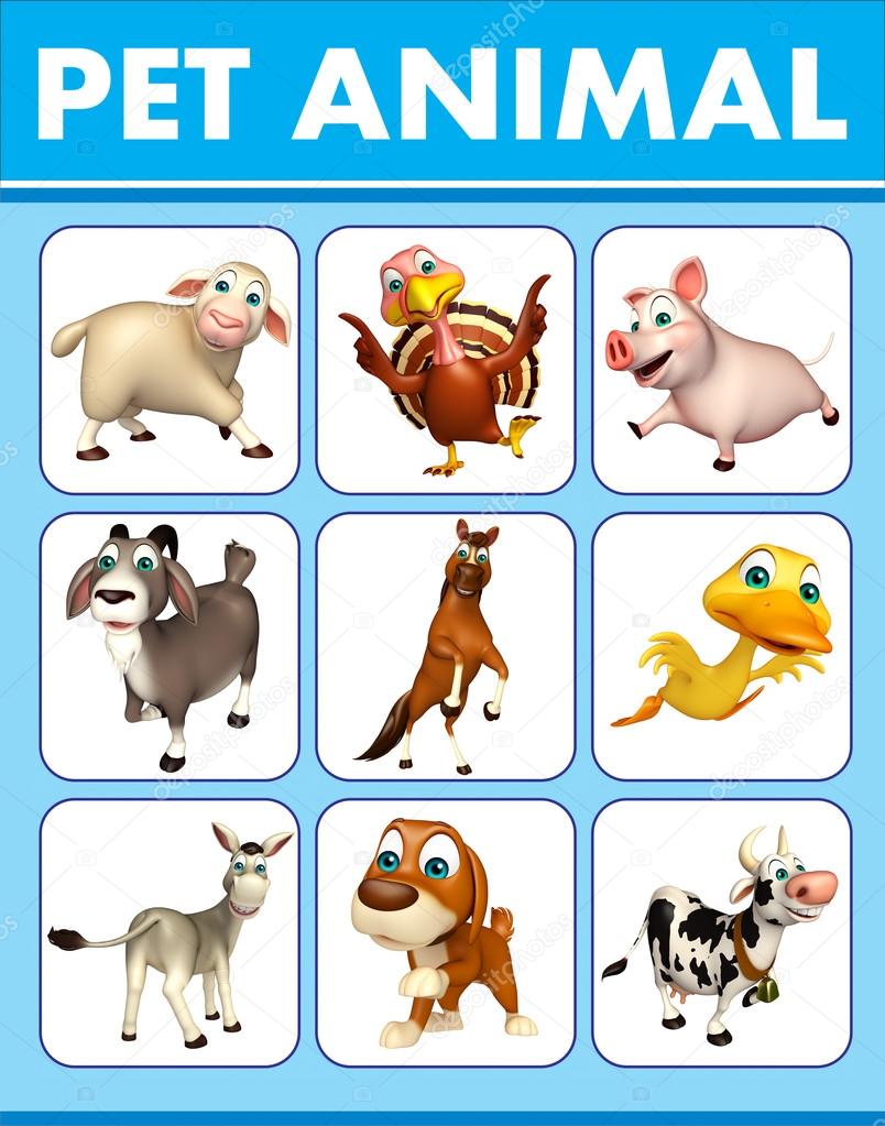 Pet animal chart Stock Illustration by ©visible3dscience #102406114