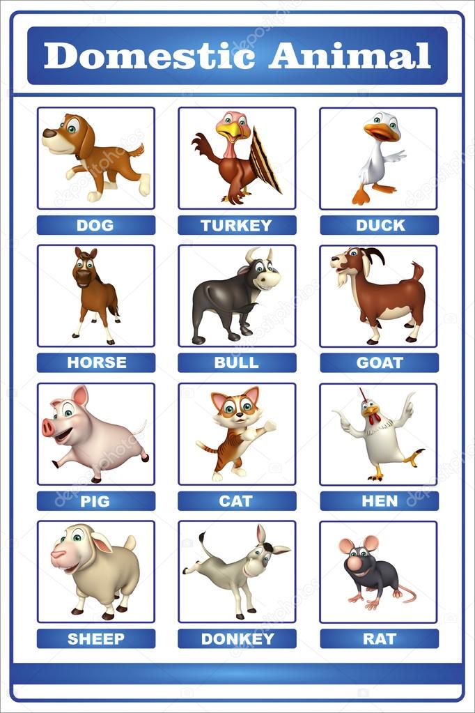 Domastic animal chart Stock Illustration by ©visible3dscience #102406294