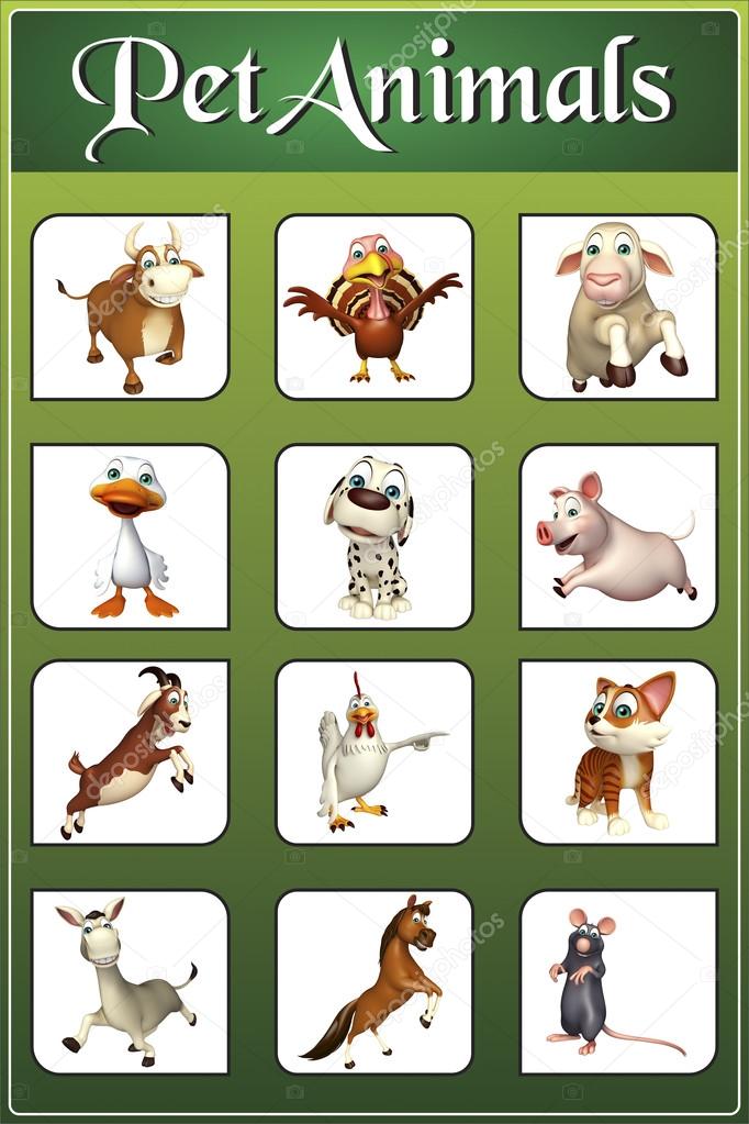 Pet animal chart Stock Illustration by ©visible3dscience #102407040