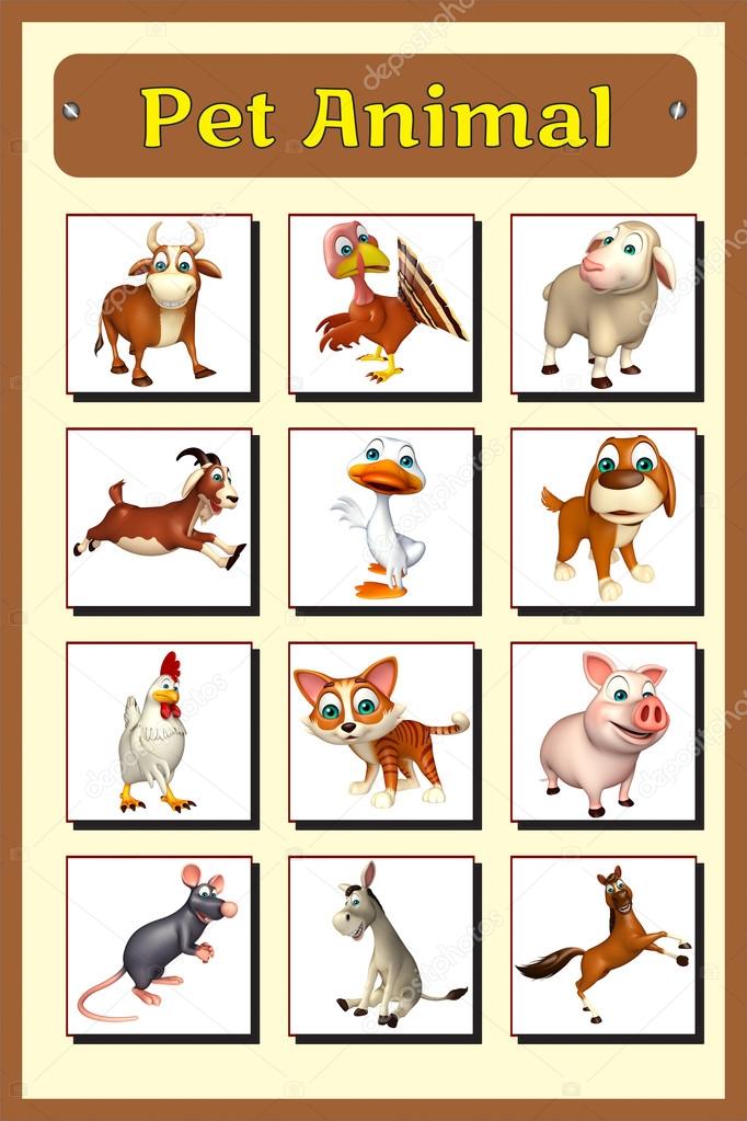 Pet animal chart Stock Illustration by ©visible3dscience #102407334