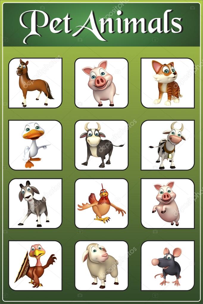 Pet animal chart Stock Illustration by ©visible3dscience #102407818