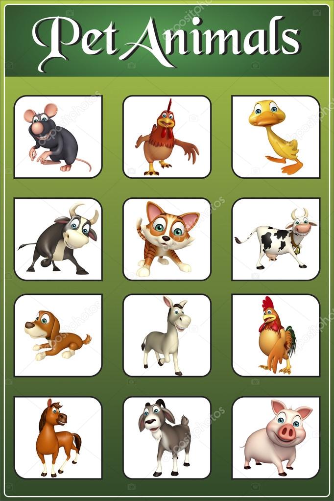 Pet animal chart Stock Illustration by ©visible3dscience #102408206