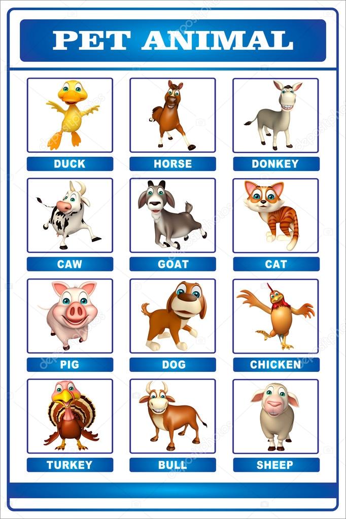 Group of pet animal chart Stock Illustration by ©visible3dscience ...