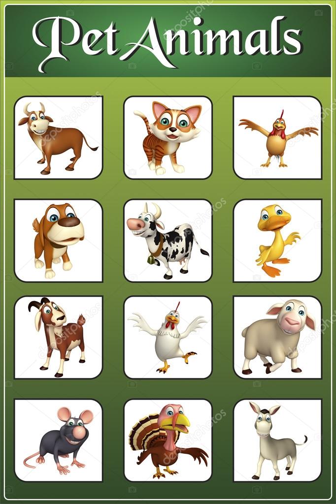 Pet animal chart Stock Illustration by ©visible3dscience #102409326