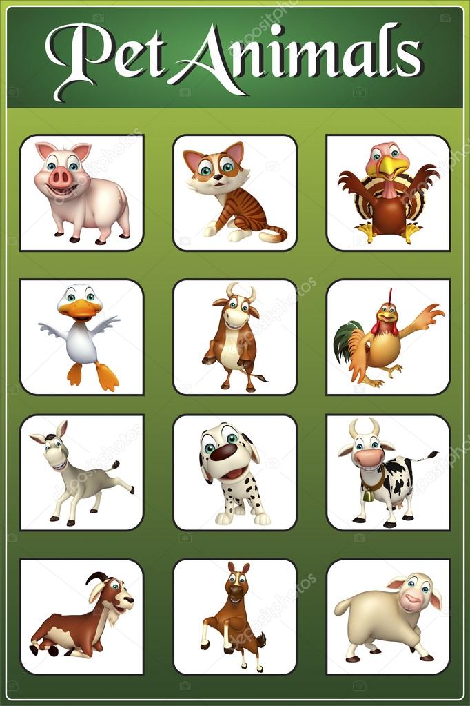 Pet animal chart Stock Illustration by ©visible3dscience #102409402