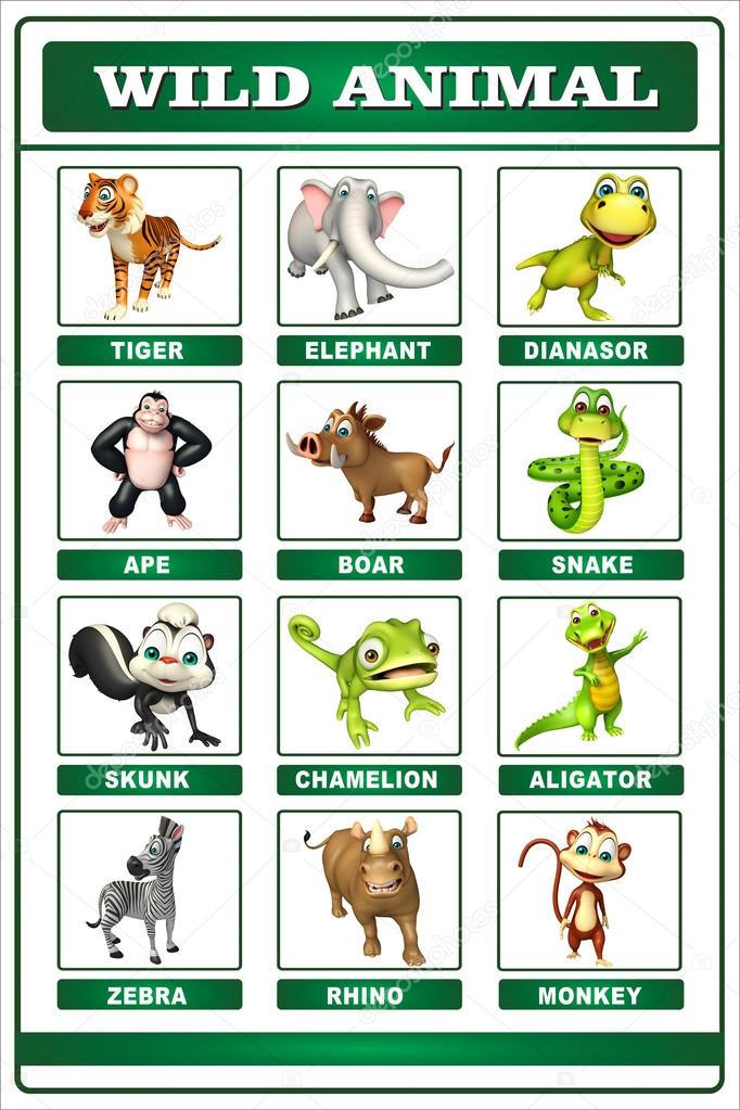 Group of wild animal chart Stock Photo by ©visible3dscience 102409656