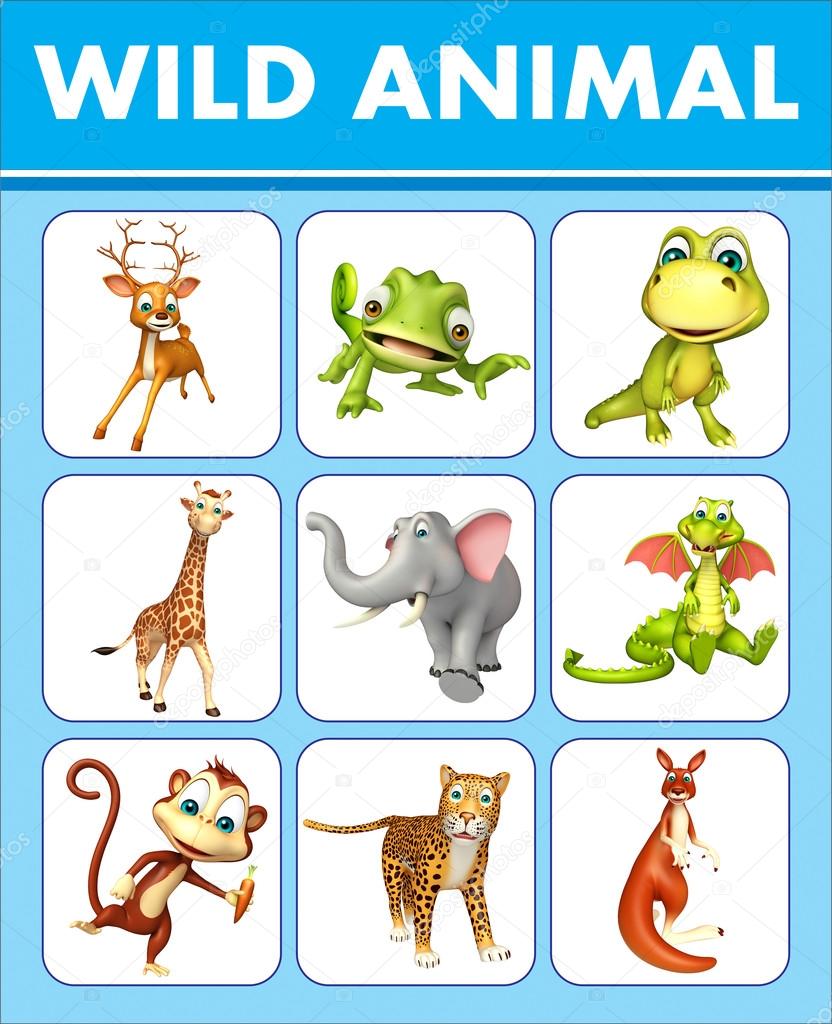 Wild animal chart Stock Photo by ©visible3dscience 102410044