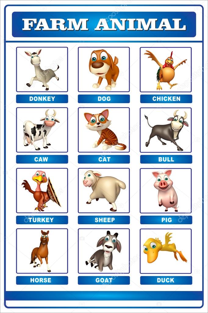 Farm animal chart Stock Photo by ©visible3dscience 102413734