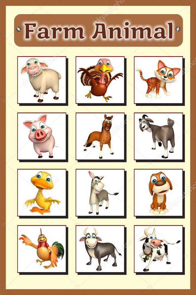 Domestic Animals Chart