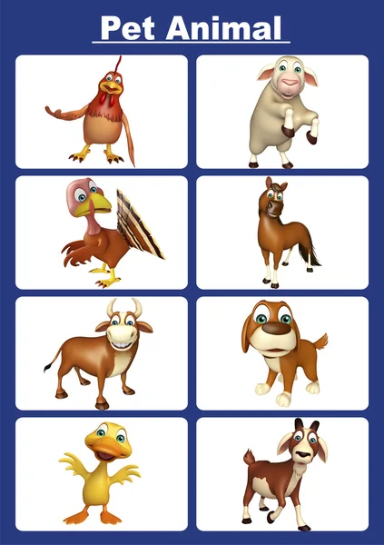 Pet animal chart Stock Photo by ©visible3dscience 102436142