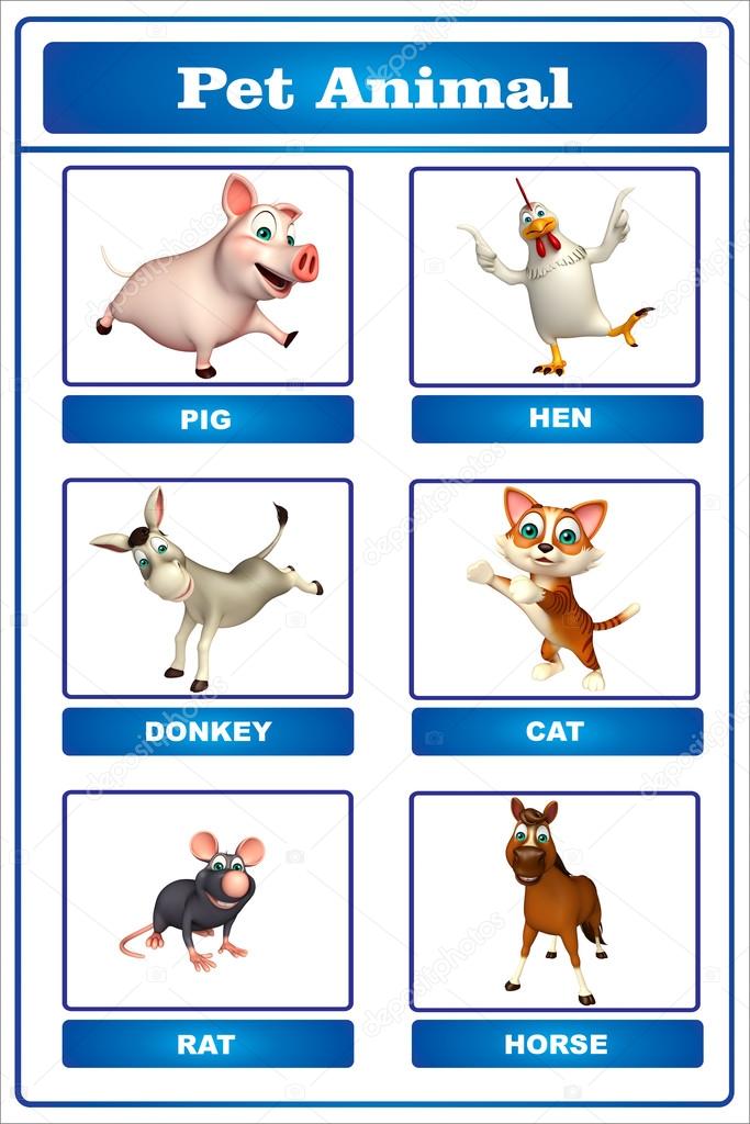 Pet animal chart Stock Illustration by ©visible3dscience #102534688