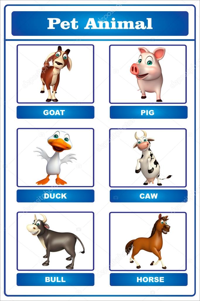 Pet animal chart Stock Illustration by ©visible3dscience #102534866