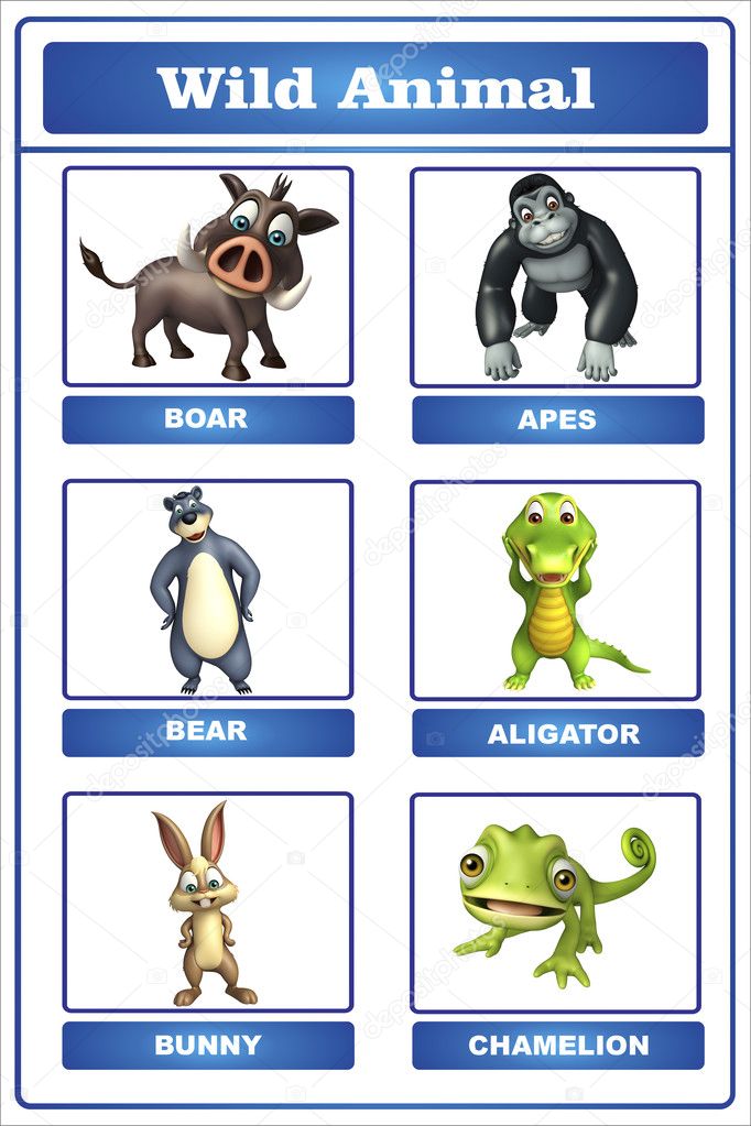 Wild animal chart Stock Illustration by ©visible3dscience #102535222