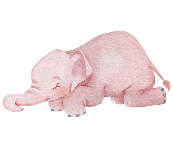 Elefante rosa fotos de stock, imágenes de Elefante rosa sin royalties ...