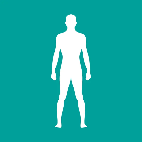 Body outline Vector Art Stock Images | Depositphotos