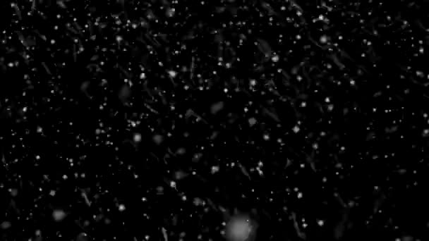 Snow Blizzard Animated Loop of Snow Particles — Stock Video ...
