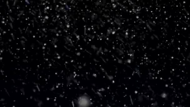 Snow Blizzard Animated Loop of Snow Particles — Stock Video ...