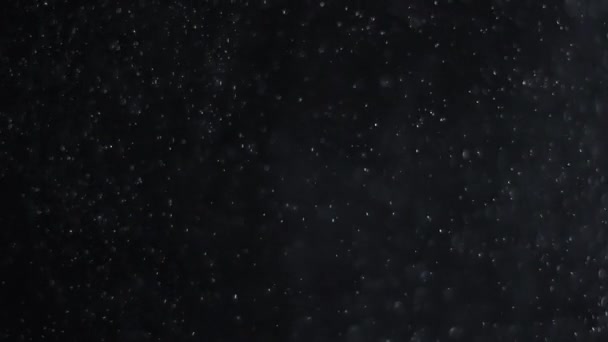 Background of Natural Floating Dust Particles — Stock Video ...