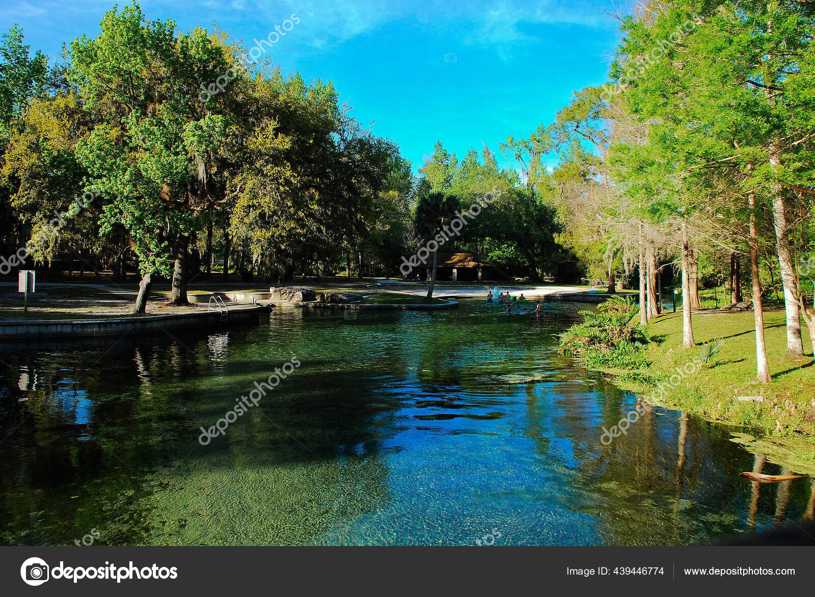 Florida Rock Manantiales Kelly Parque Estatal Con Piscina Por ...