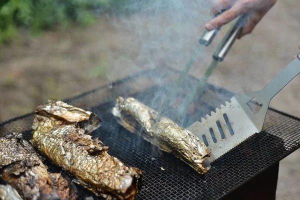 Baked fish in foil on a grill over a fire, picnic cooking. Fire and ...