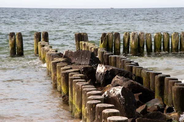 Baltic sea poles Stock Photos, Royalty Free Baltic sea poles Images ...