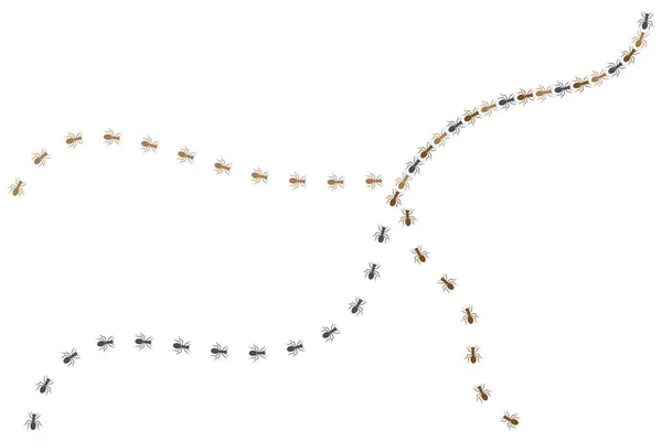 10,477,759 Ants in line Vector Images | Depositphotos