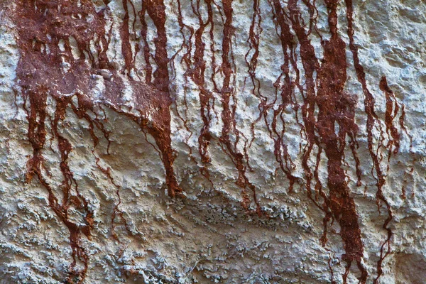 Human skin layers Stock Photos, Royalty Free Human skin layers Images ...