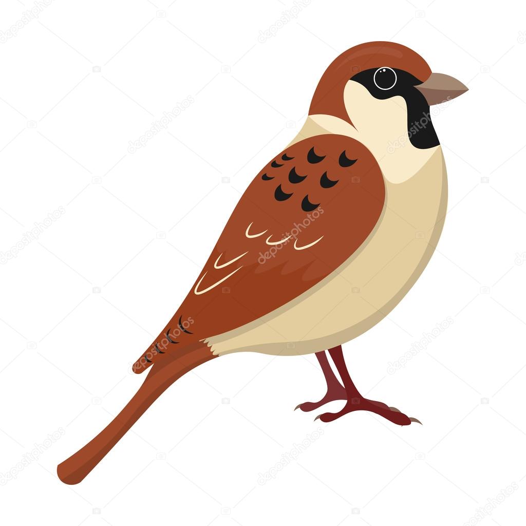 Cute sparrow cartoon vector illustration. Stock Vector by ©NPavelN ...