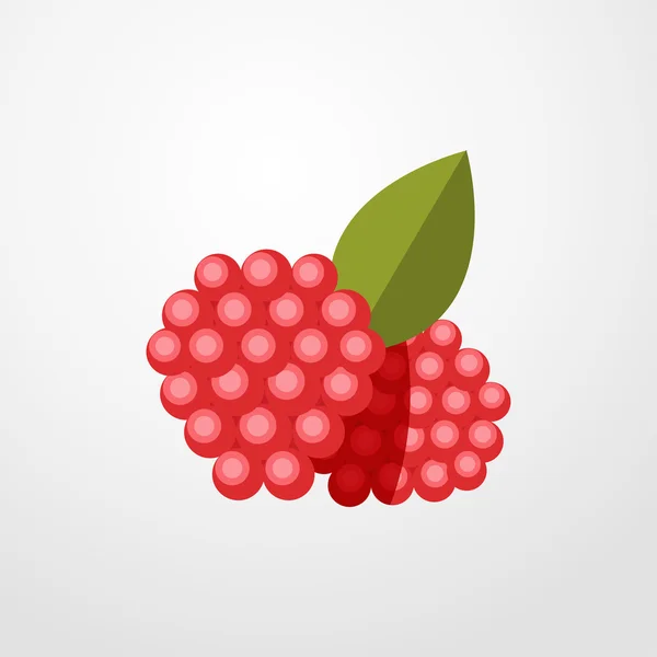 Icon of raspberries Vector Art Stock Images | Depositphotos