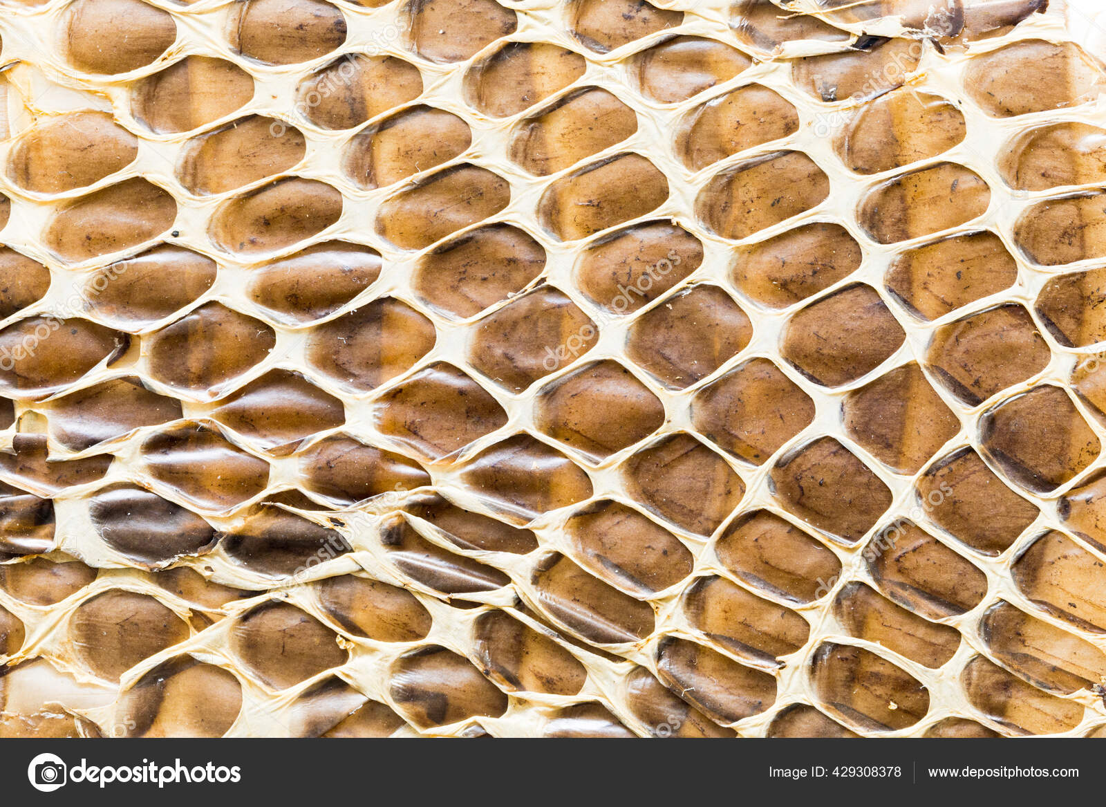 Snake Skin Texture Background Stock Photo by ©rochu_2008 429308378